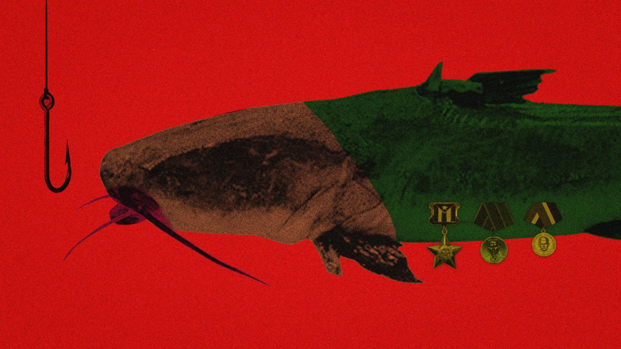 Mayra Arevich Marín: una ciberclaria que se convirtió en ministra